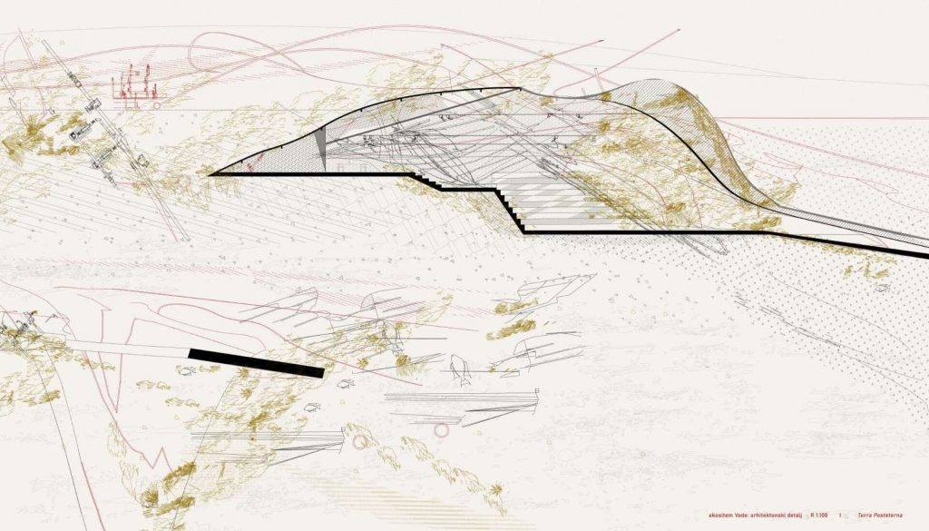 Milica Božić – Exhibition